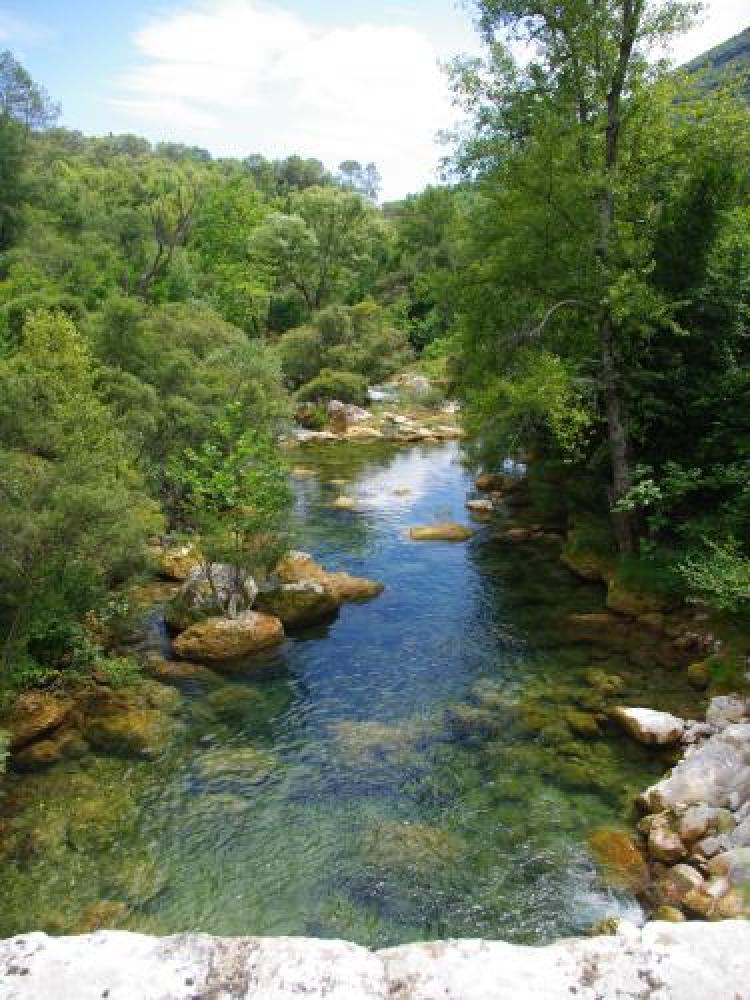 Photos - Bois du Défens et gorges de la Siagne - Balade à Callian