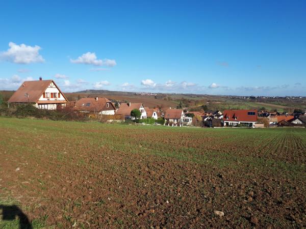 Circuit La Vallée - Nordheim - Kuttolsheim - Balade à Kuttolsheim