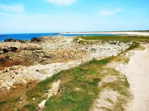 Cotentin Peninsula - Outing in Carentan-les-Marais