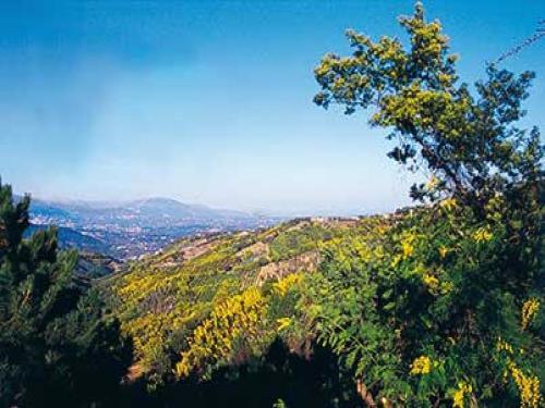 Les Crêtes de Tanneron - Balade à Tanneron