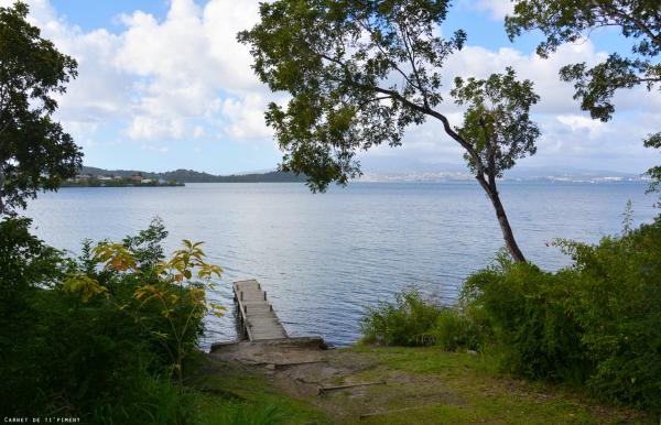 Forêt de Vatable - Balade aux Trois-Îlets