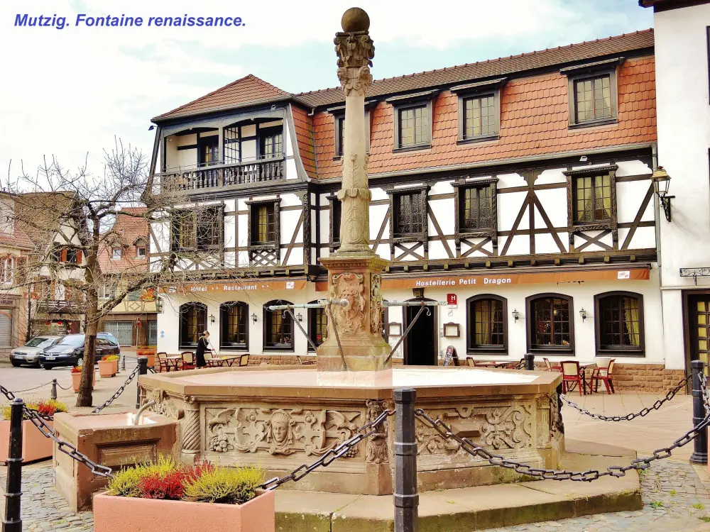 Photos - Itinerary through the old town of Mutzig - Outing in Mutzig