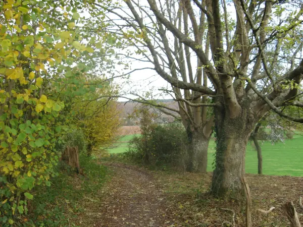 Saracenen Path - Uitstapje in Condé-sur-Risle