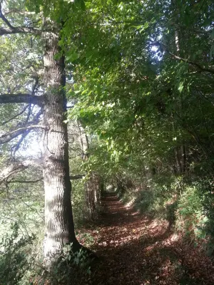 Saracenen Path - Uitstapje in Condé-sur-Risle