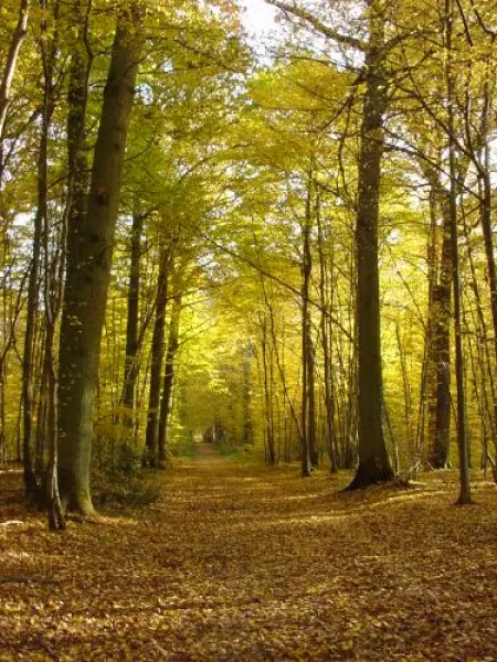 Abondant - Tourisme, Vacances & Week-end