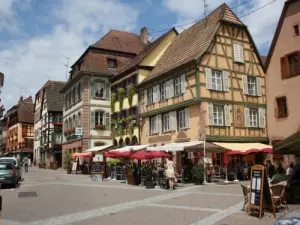 Guide of Alsace 2024 - Tourism, Holidays & Weekends