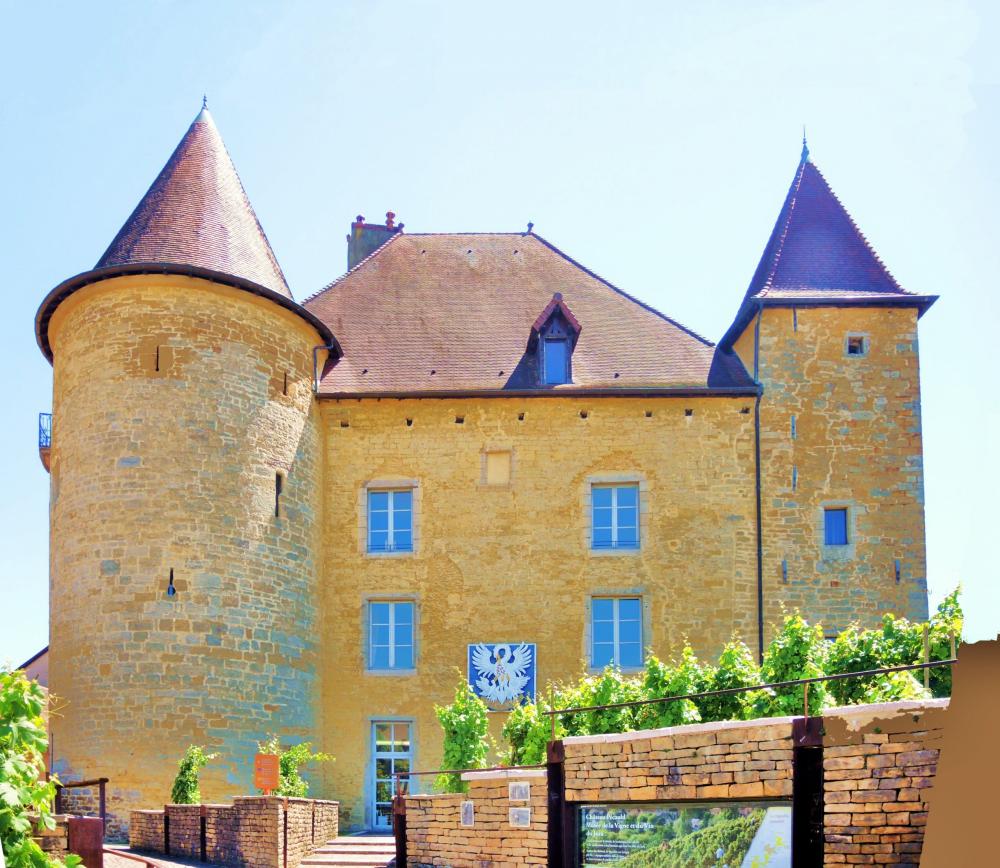 Photos - Arbois - Guide Tourisme & Vacances