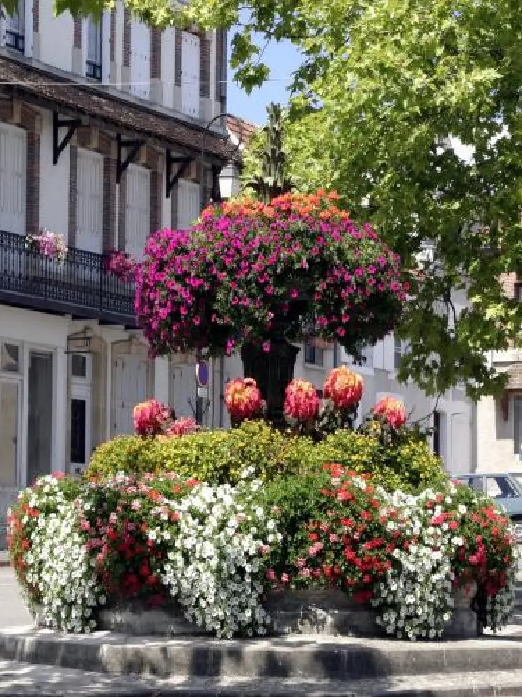 Photos - Avize - Tourisme, Vacances & Week-end