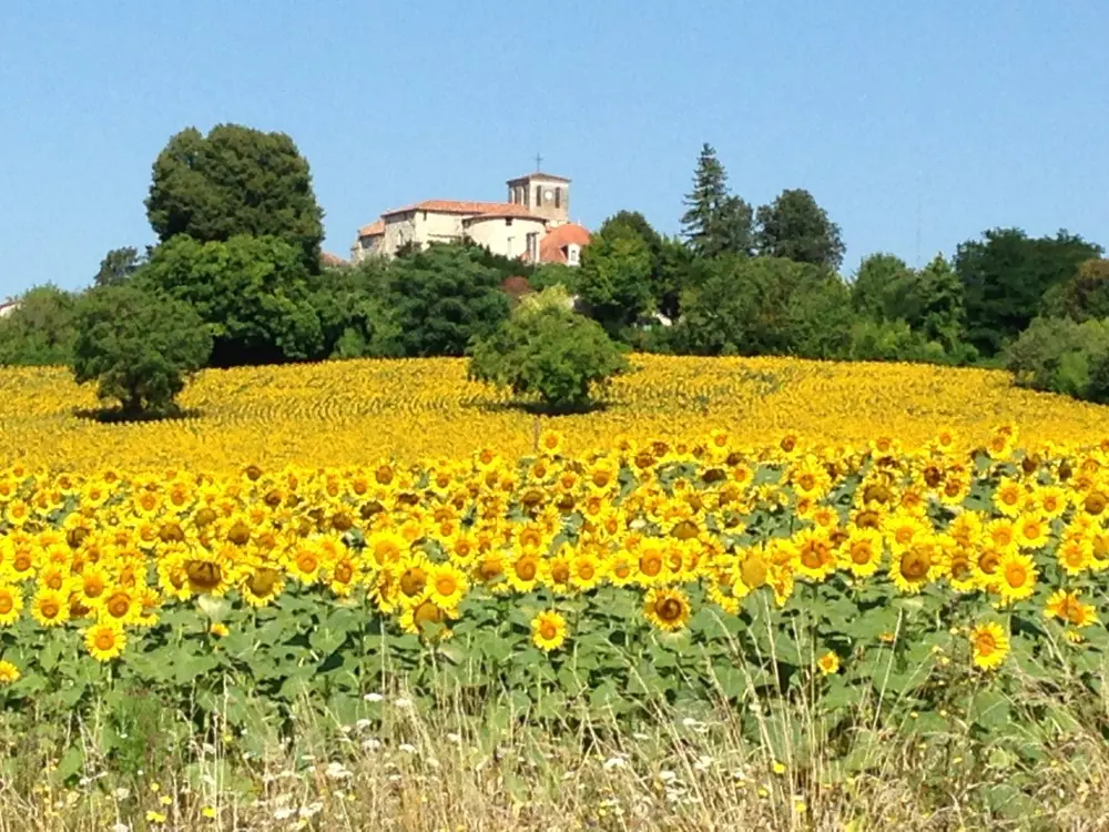 Photos - Brossac - Tourisme, Vacances & Week-end