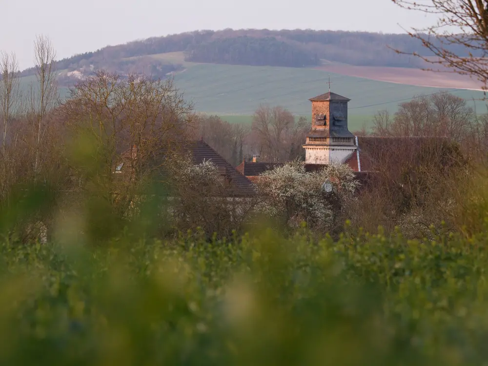 Photos - Chamoy - Tourism, Holidays & Weekends