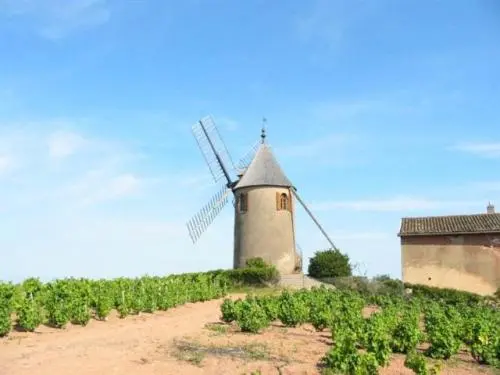 Chénas - Tourisme, Vacances & Week-end