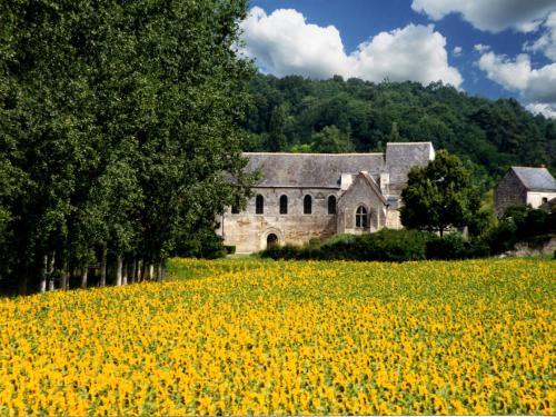 Sanctuaire Carolingien de Cravant - Monument à Cravant-les-Côteaux