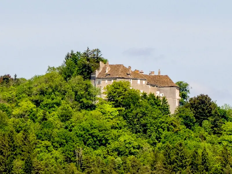 Château de Châtillon-sur-Lison - Monument à Cussey-sur-Lison