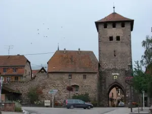 Dambach-la-Ville - Turismo, Vacaciones y Fines de semana