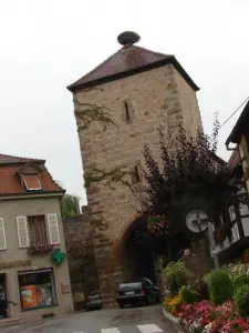 Dambach-la-Ville - Turismo, Vacaciones y Fines de semana