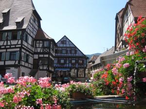 Dambach-la-Ville - Tourism, Holidays & Weekends