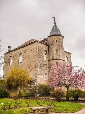 Château de Darney - Monument à Darney