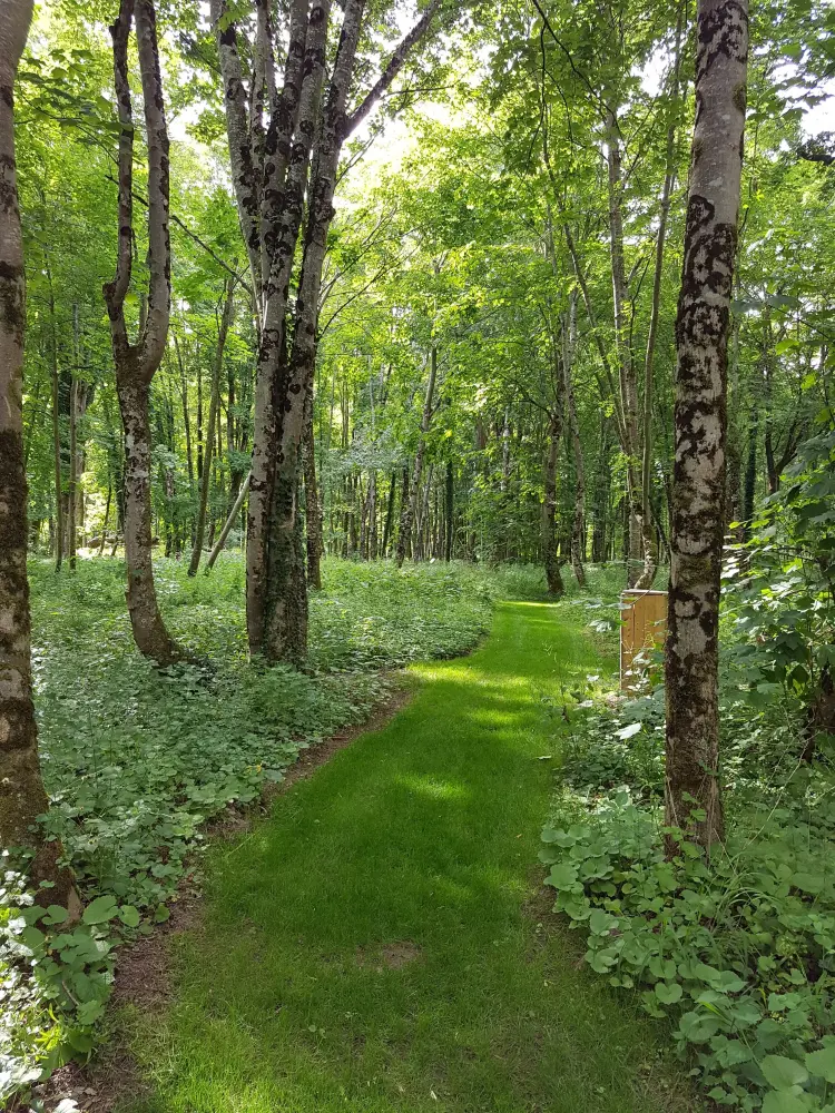 Photos - Decize - Guide Tourisme & Vacances