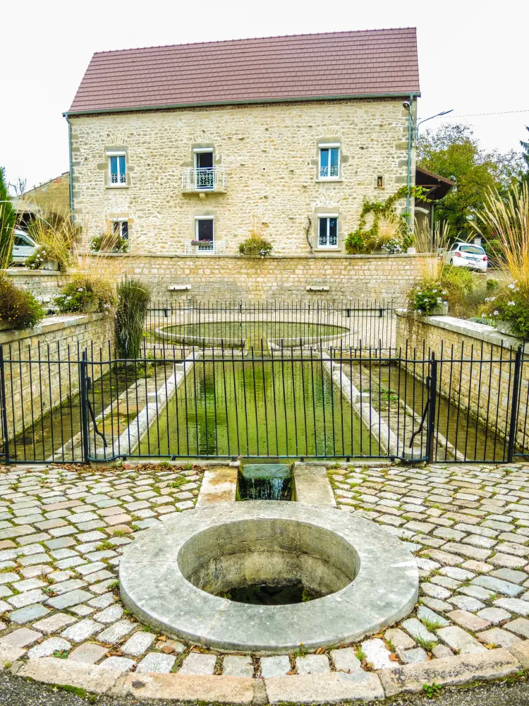 Photos - Dole - Tourism & Holiday Guide