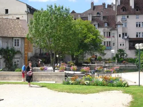 Photos - Dole - Tourism & Holiday Guide