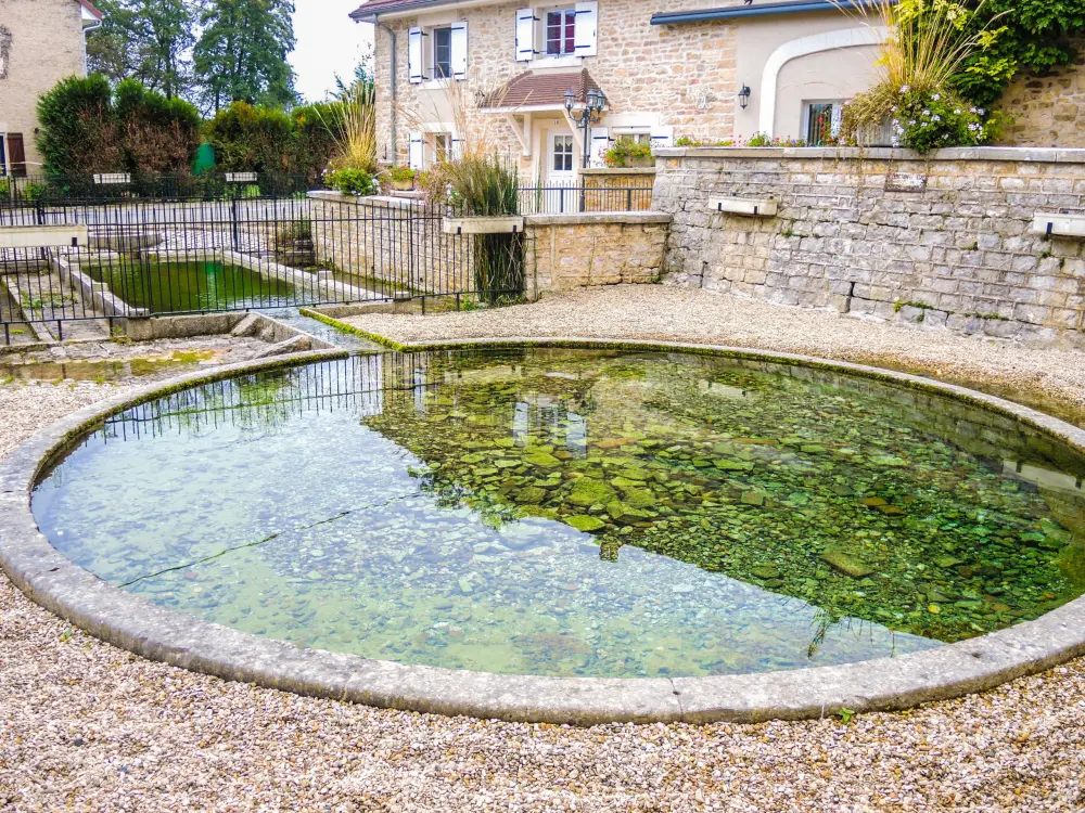 Photos - Dole - Tourism & Holiday Guide