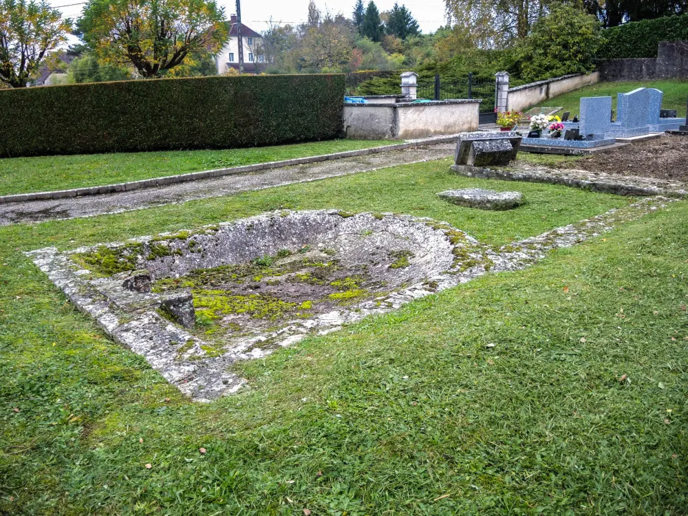 Photos - Dole - Tourism & Holiday Guide