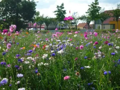 Fegersheim - Tourisme, Vacances & Week-end