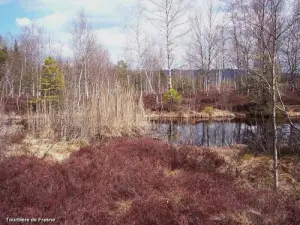 Frasne - Tourisme, Vacances & Week-end