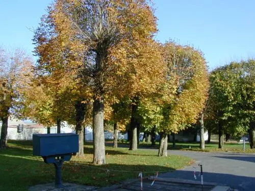 Fromont - Tourisme, Vacances & Week-end