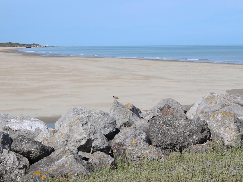 Photos - Grand-Fort-Philippe - Tourisme, Vacances & Week-end