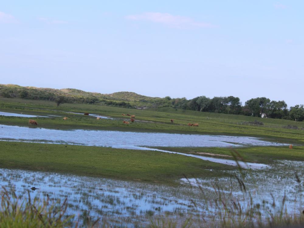 Photos - Grand-Fort-Philippe - Tourisme, Vacances & Week-end