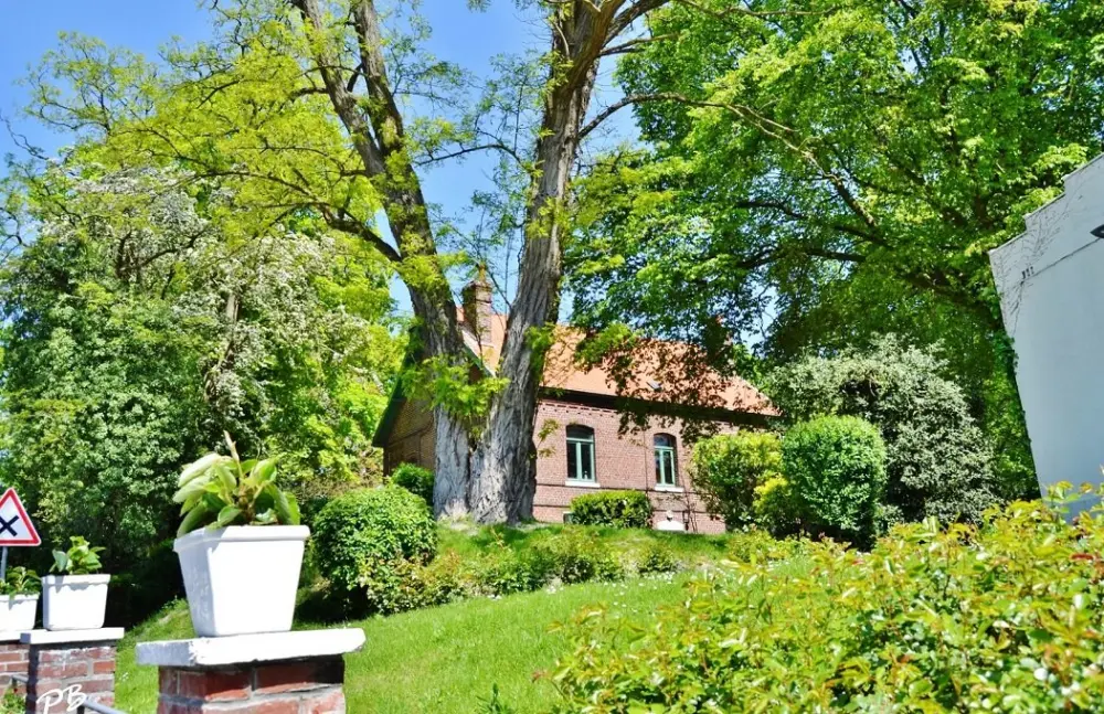 Photos - Gruson - Tourism, Holidays & Weekends