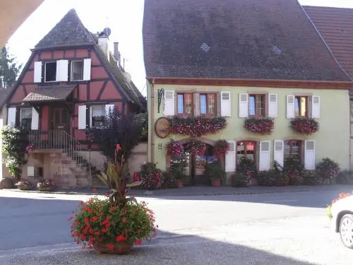 Photos - Hattstatt - Tourisme, Vacances & Week-end