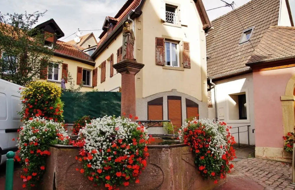 Photos - Hattstatt - Tourisme, Vacances & Week-end