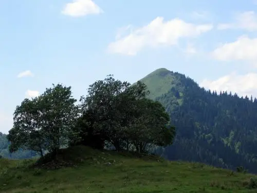 La Pesse - Tourism, Holidays & Weekends