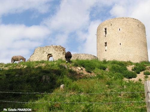 Photos - La Souterraine - Tourism & Holiday Guide