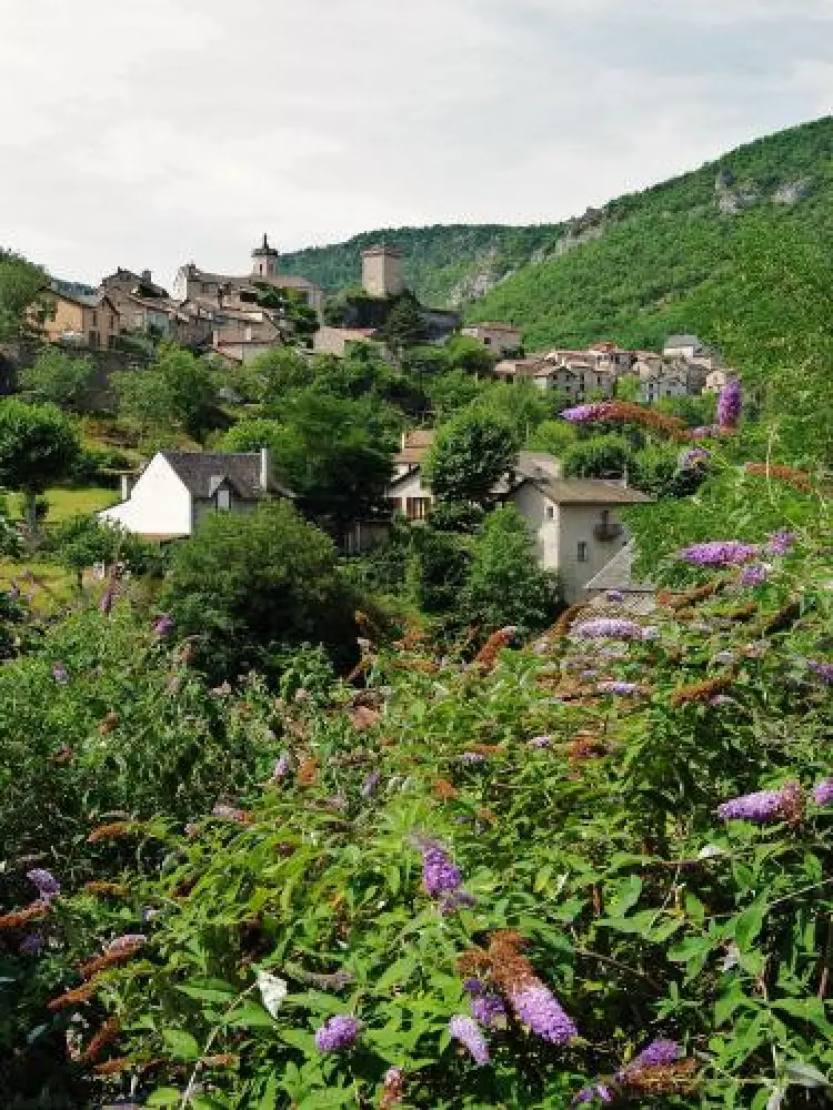 Photos - Le Rozier - Tourisme, Vacances & Week-end