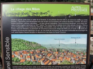 Les Mées - Tourism, Holidays & Weekends