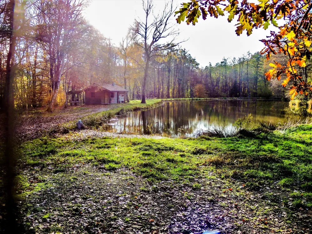 Photos - Leval - Tourisme, Vacances & Week-end