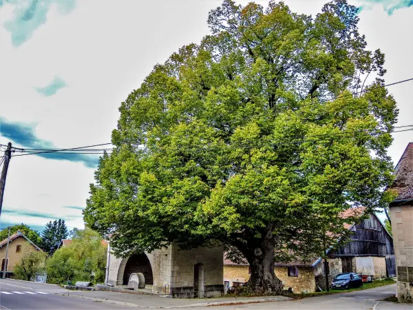 Loray - Tourisme, Vacances & Week-end