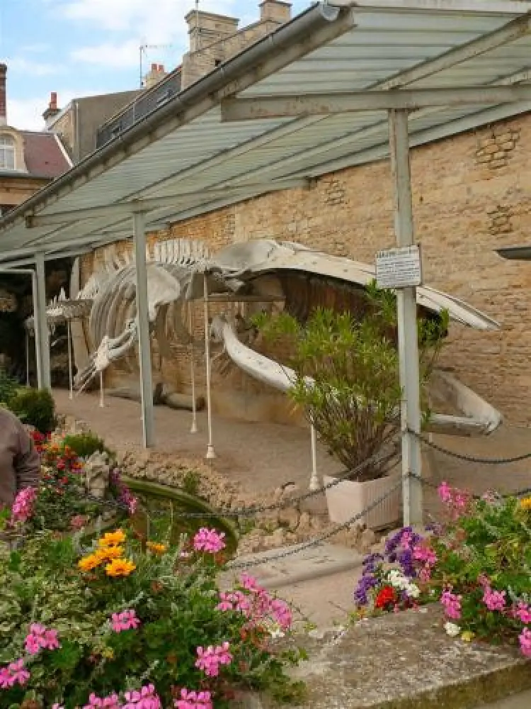 Photos - Luc-sur-Mer - Tourisme, Vacances & Week-end