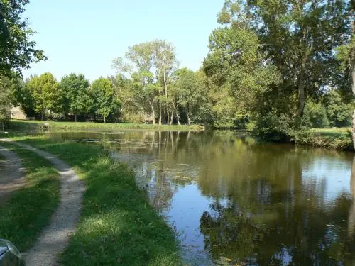 Photos - Lys-Haut-Layon - Tourism, Holidays & Weekends