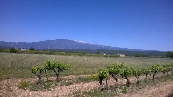 Mazan - Tourism, Holidays & Weekends