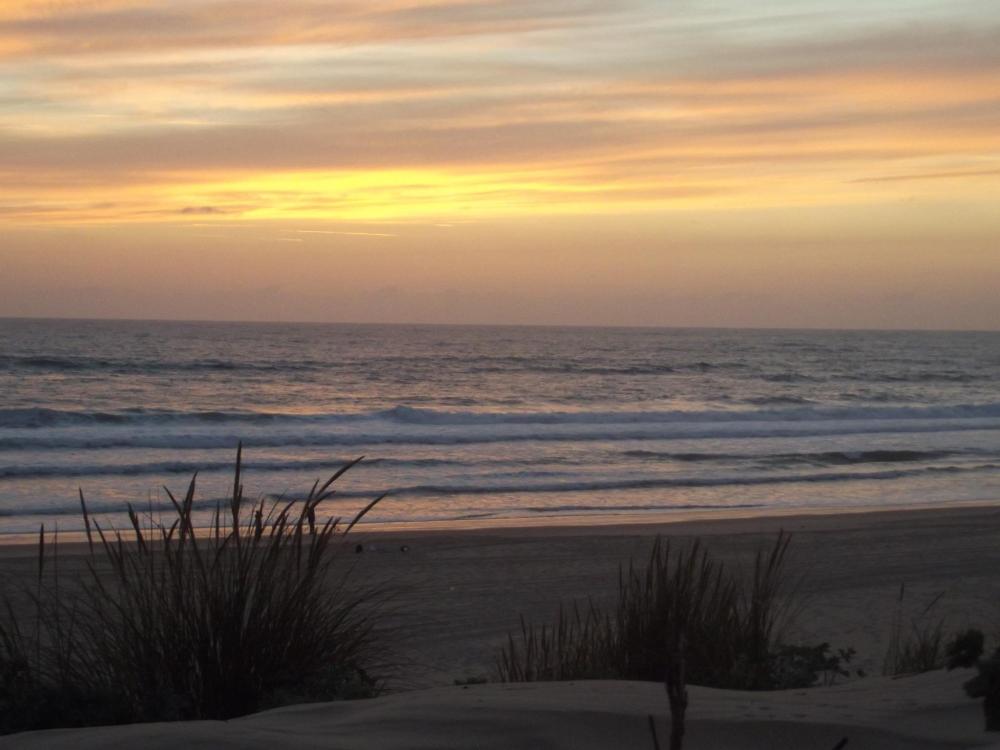 Photos - Moliets-et-Maa - Tourism, Holidays & Weekends