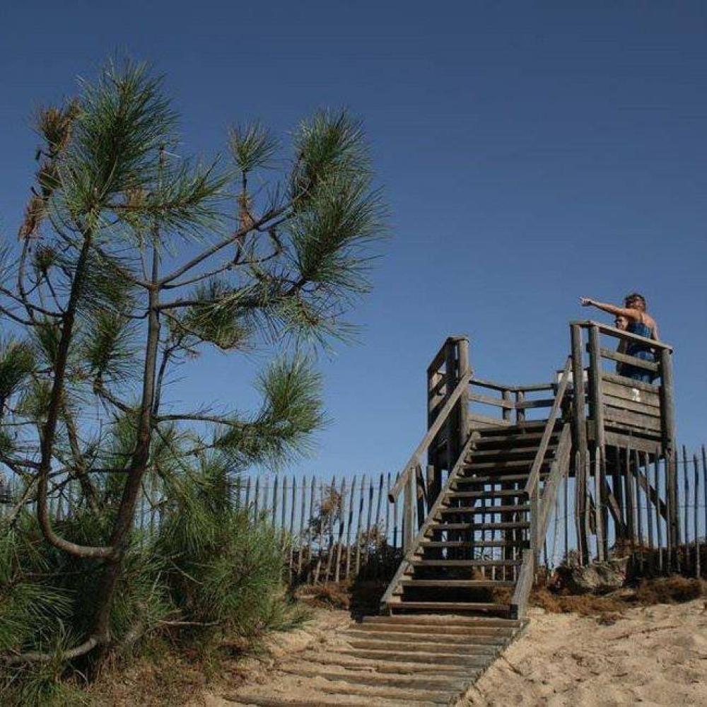 Photos - Moliets-et-Maa - Tourisme, Vacances & Week-end