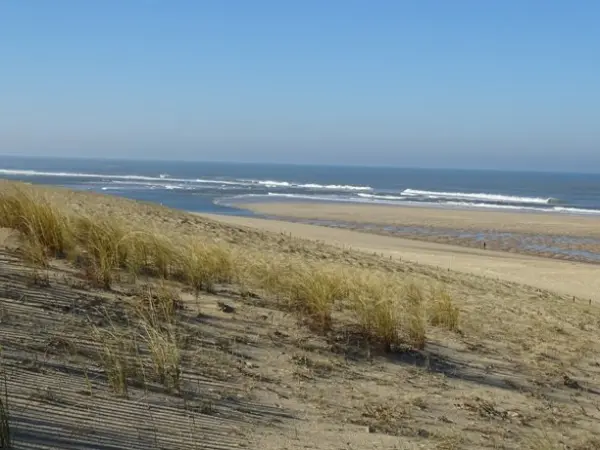 Plage centrale de Moliets-et-Maa - Lieu de loisirs à Moliets-et-Maa