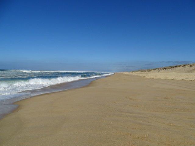 Photos - Moliets-et-Maa - Tourisme, Vacances & Week-end