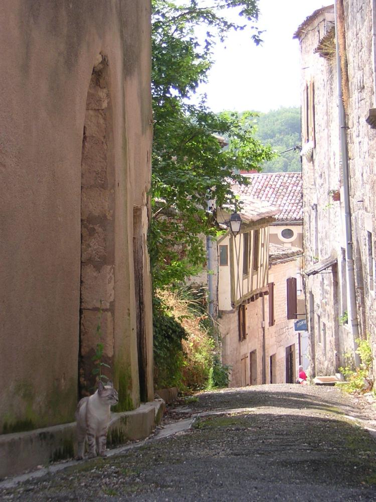 Photos - Montcuq-en-Quercy-Blanc - Tourisme, Vacances & Week-end