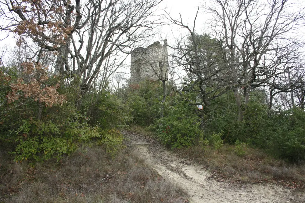 Photos - Montégut - Tourisme, Vacances & Week-end