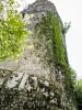 Castle of Montjoie-le-Château - Monument in Montjoie-le-Château